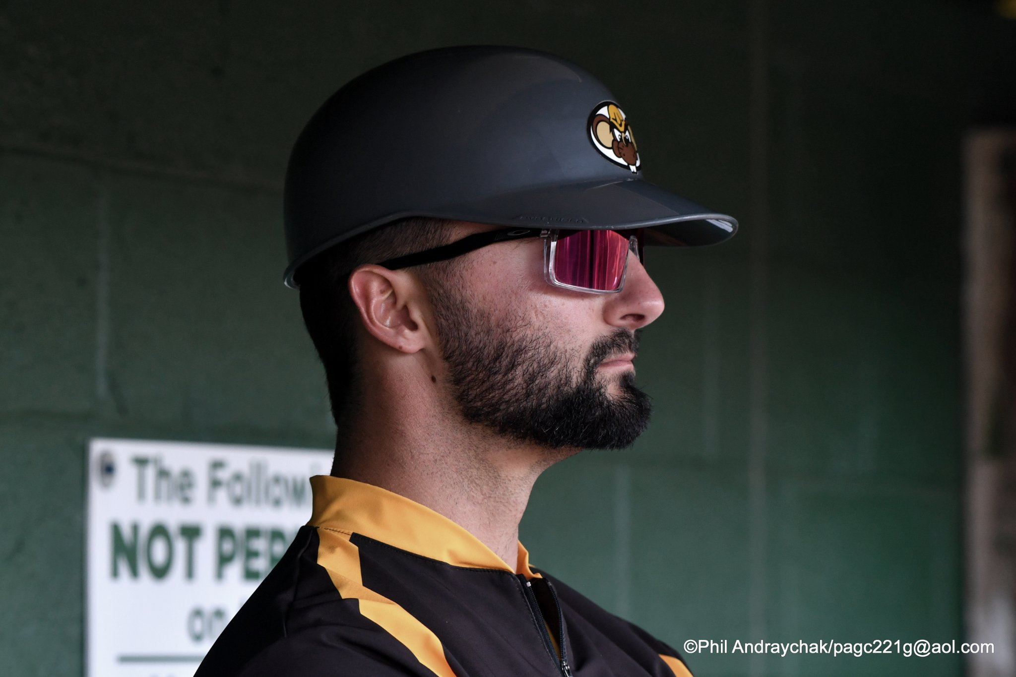 Sully’s back! – Johnstown Mill Rats Baseball